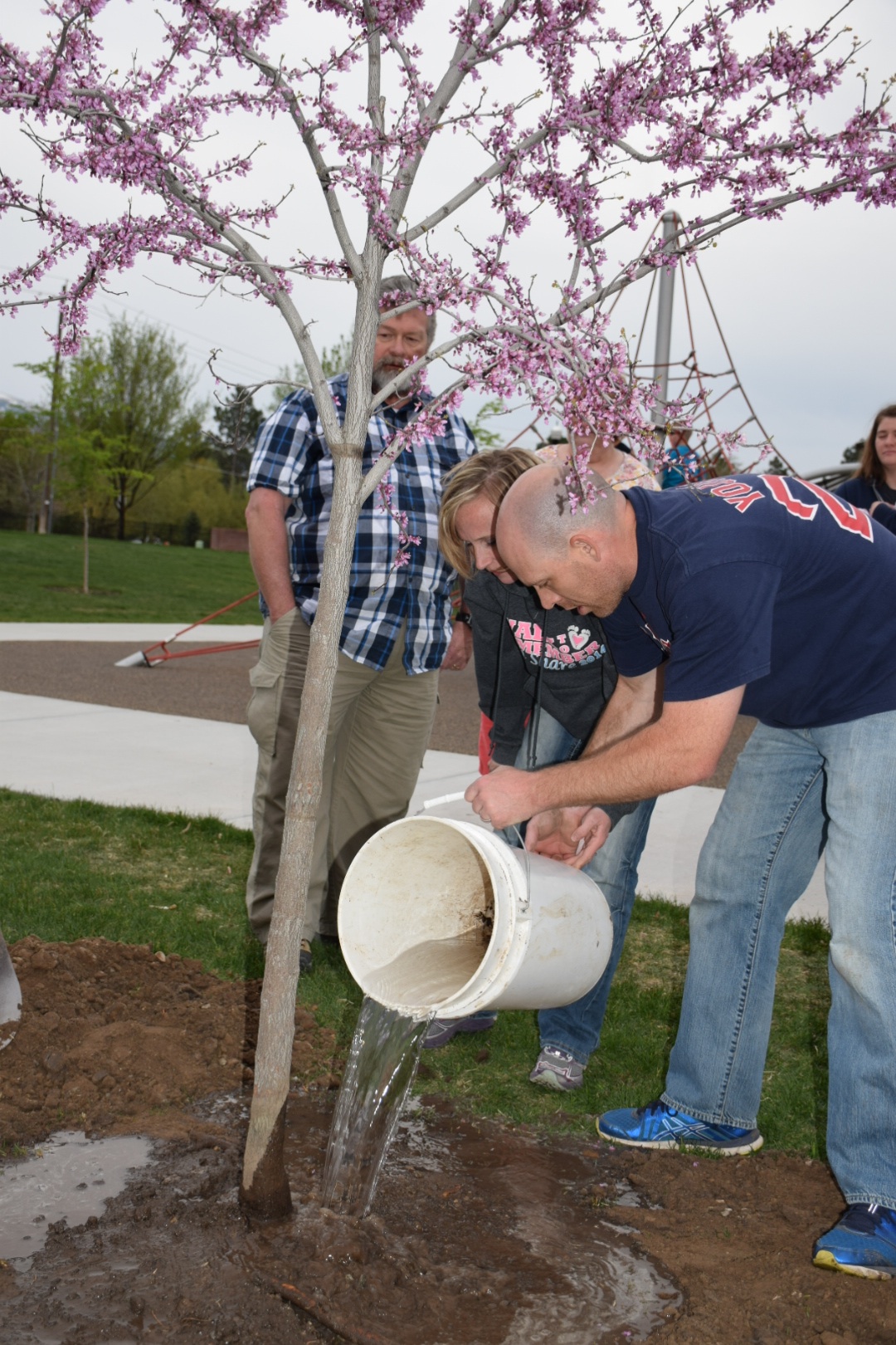 Luca’s Tree | Boogers on the Wall