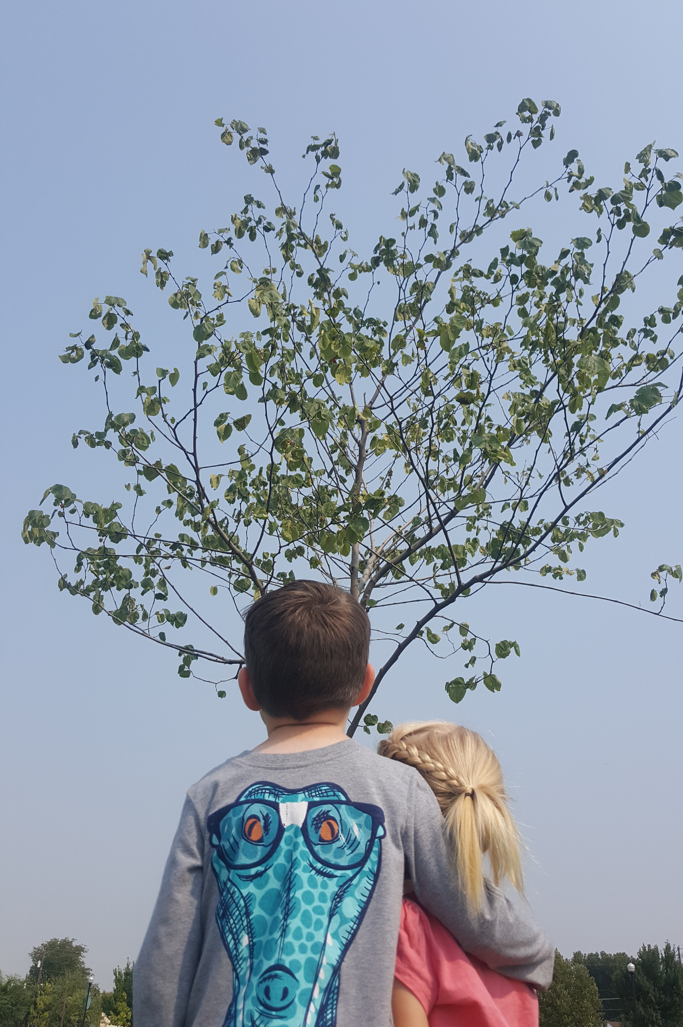 Luca Is A Tree | Boogers on the Wall